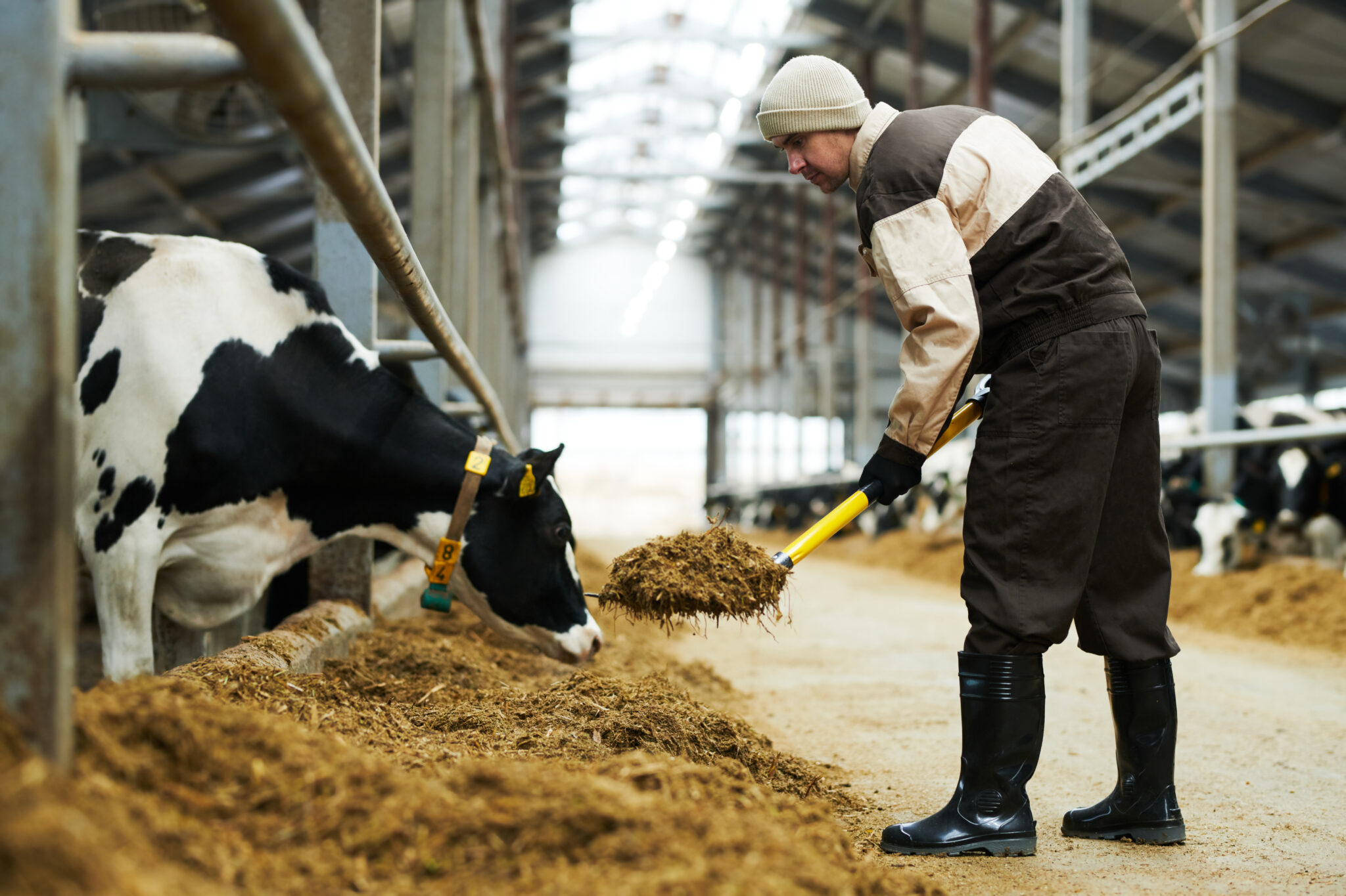 Descubre cómo IGBiogas transforma los residuos ganaderos en energía ...